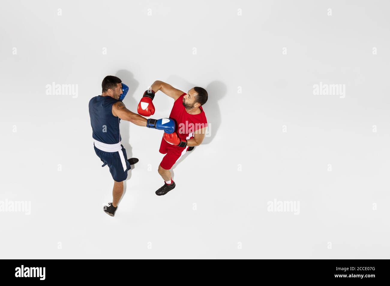 Two professional boxers boxing isolated on white studio background ...