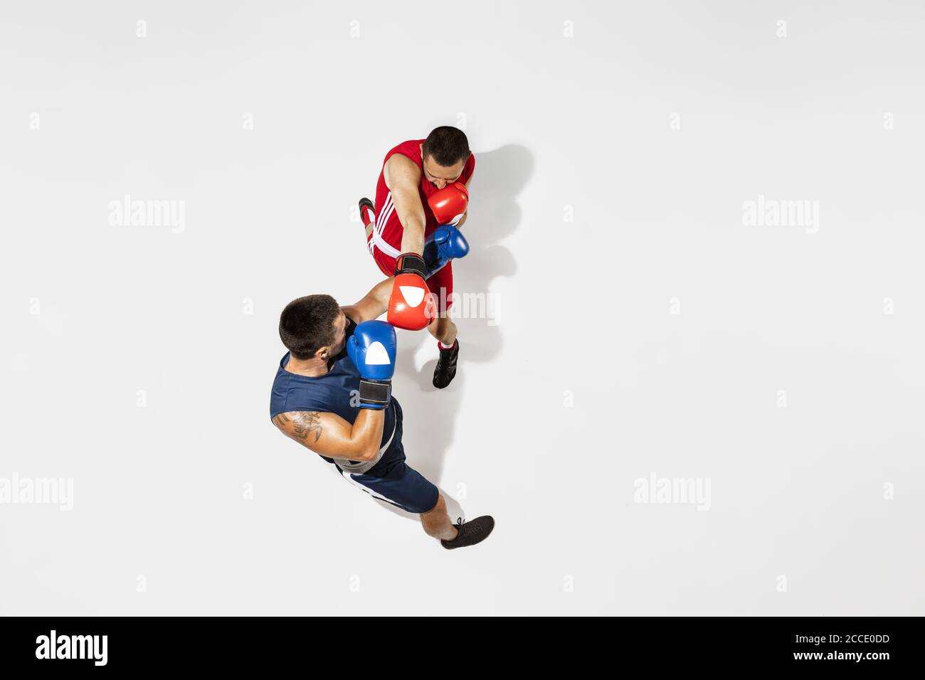 Two professional boxers boxing isolated on white studio background ...