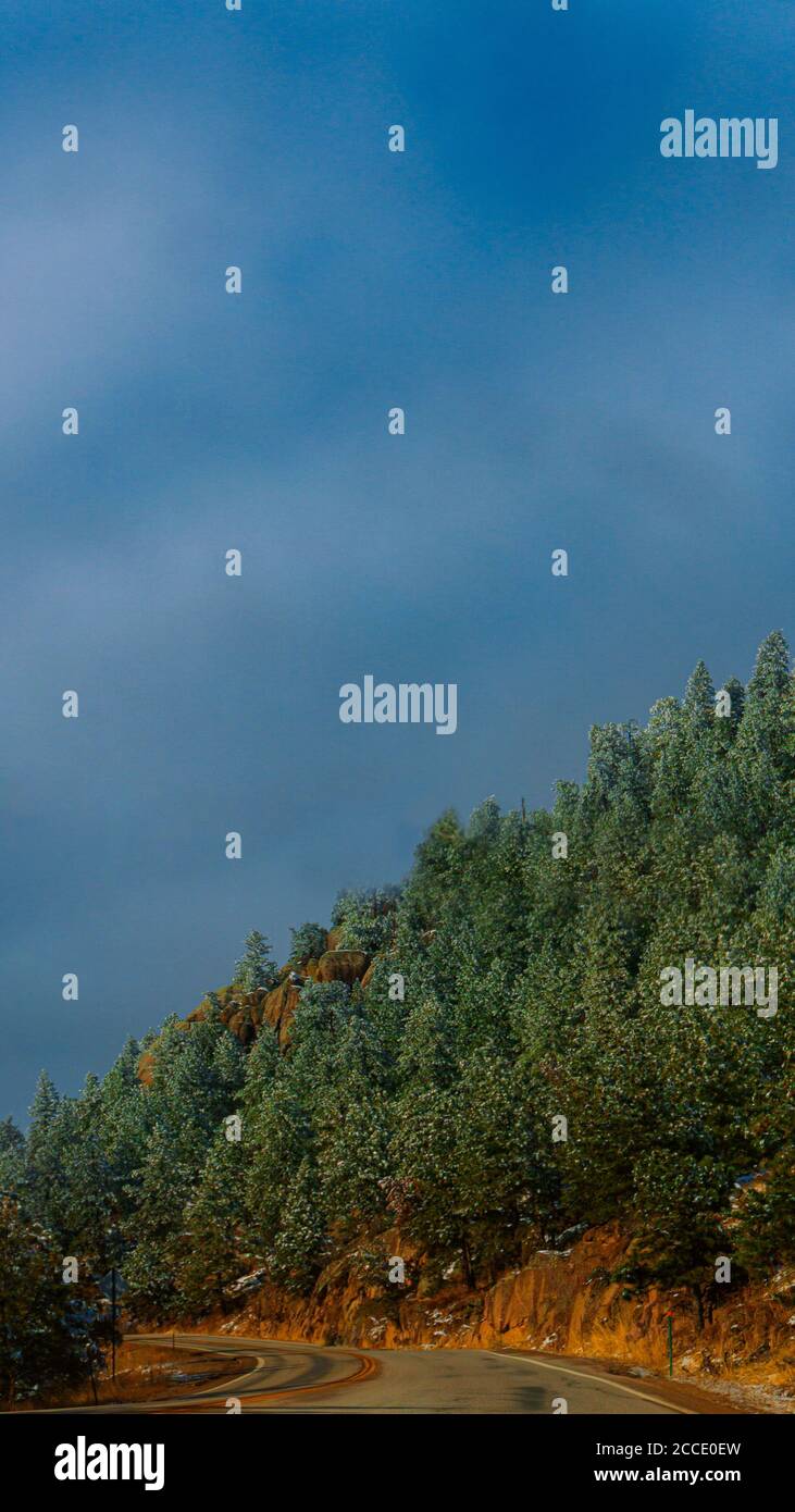 Tree line on mountain road Stock Photo - Alamy