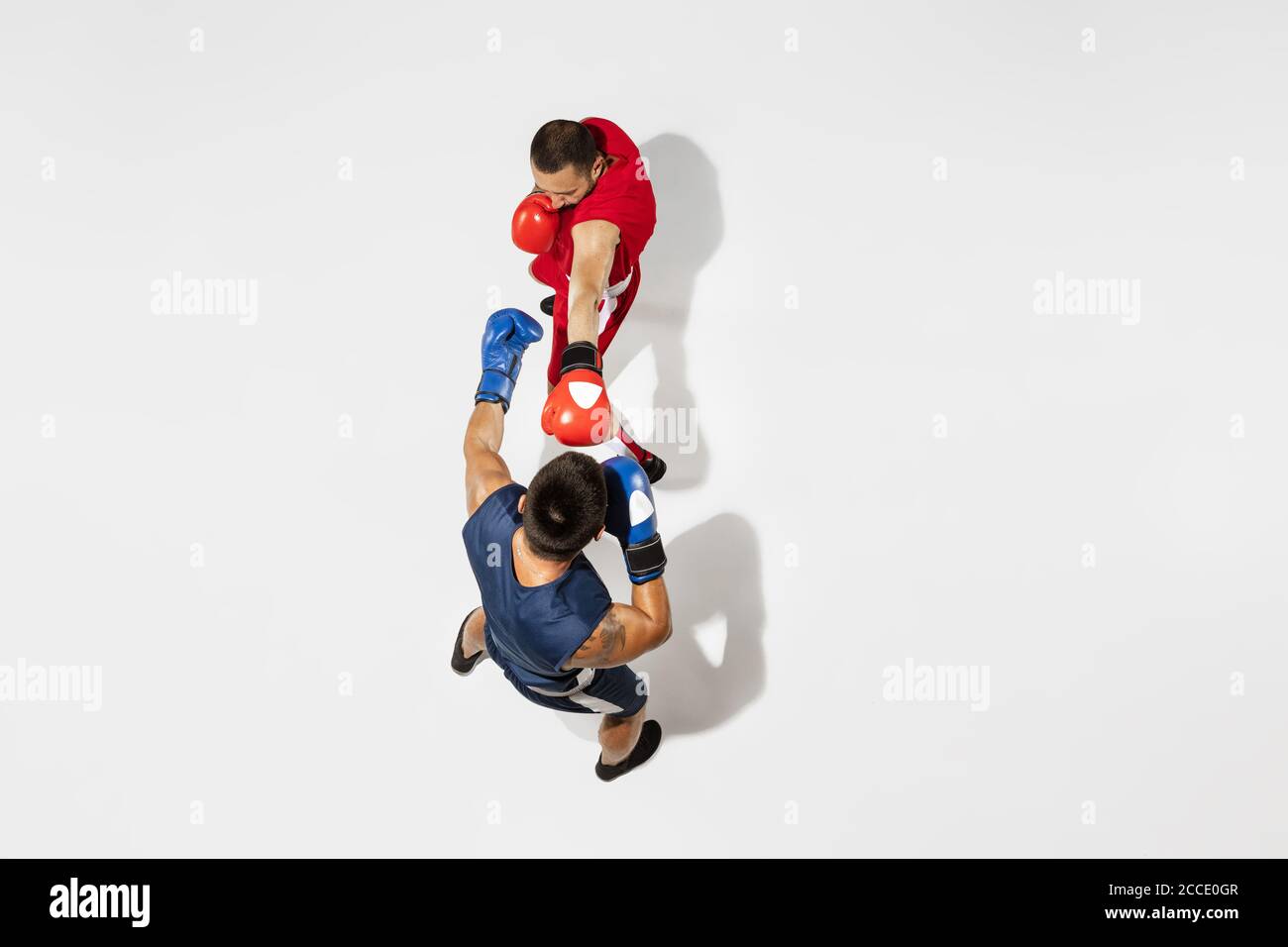 Two professional boxers boxing isolated on white studio background ...