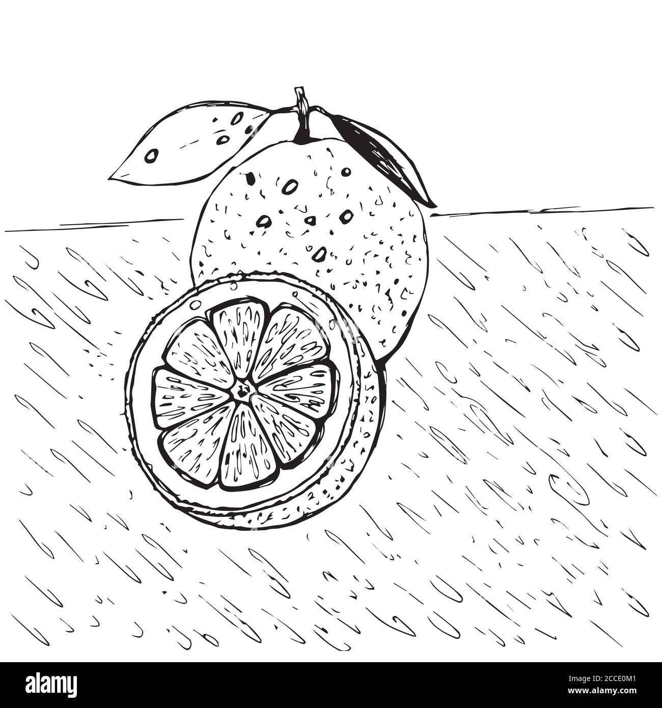 Orange Fruit Clip Art Black And White Free Vectors | Hand Drawn