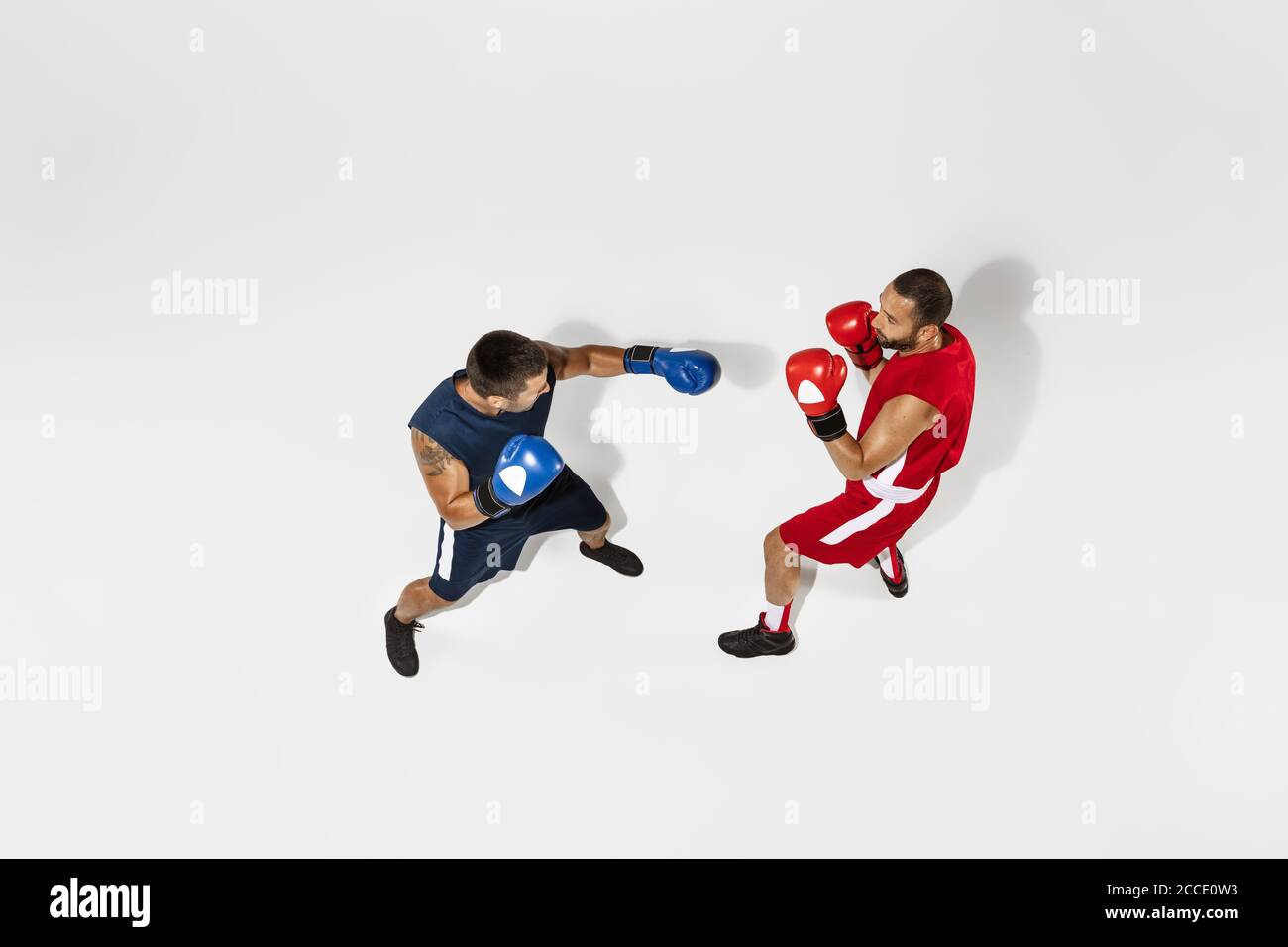 Two professional boxers boxing isolated on white studio background ...