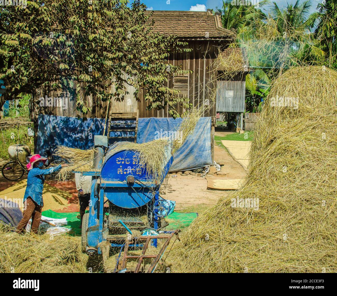 Diesel-powered threshing machine, designed especially to thresh rice ...