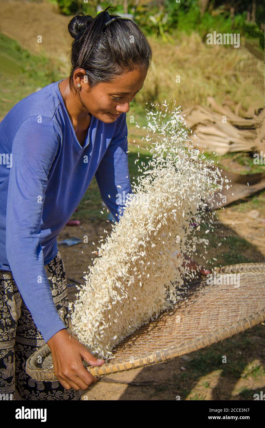 Sifting rice cambodia hi-res stock photography and images - Alamy