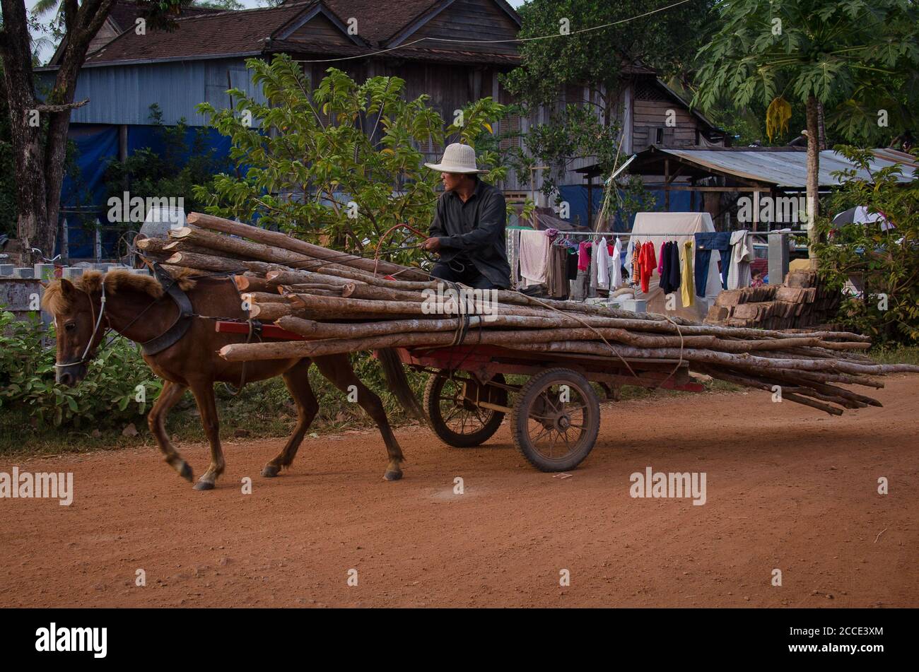Man hauling log poles used in construction Stock Photo - Alamy