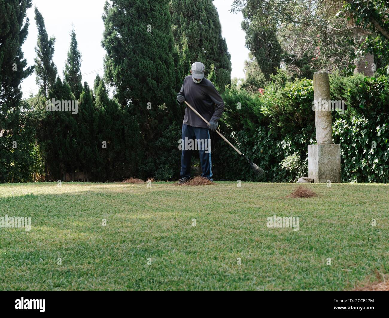 Large plot of grass collected with a rake and carried by a gardener ...