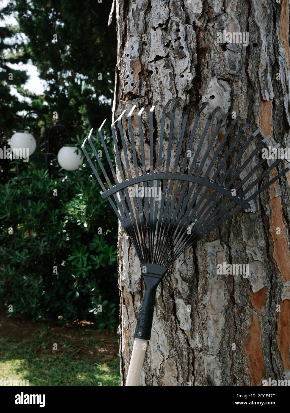 Image of a steel rake resting on a tree trunk Stock Photo - Alamy