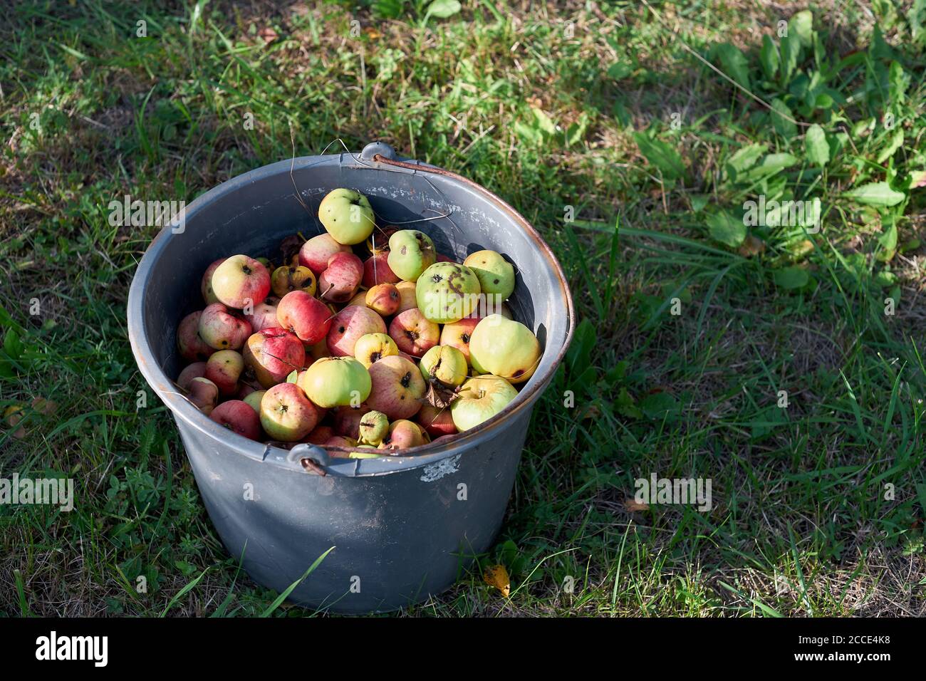 Apple Bucket High Resolution Stock Photography and Images - Alamy