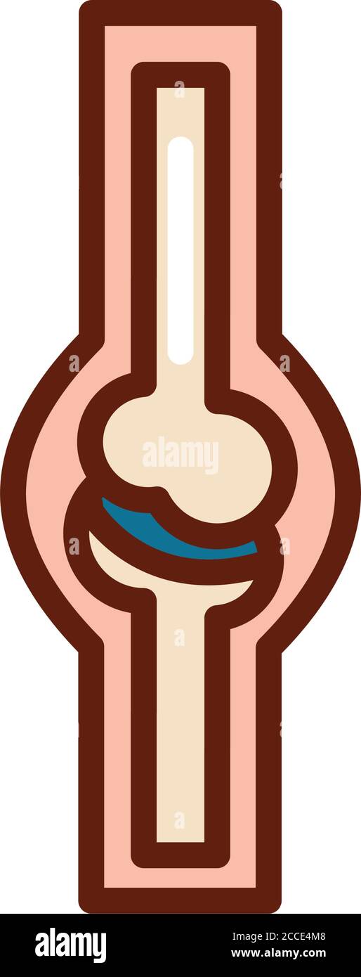 human body bones and structure anatomy organ health line and fill icon ...