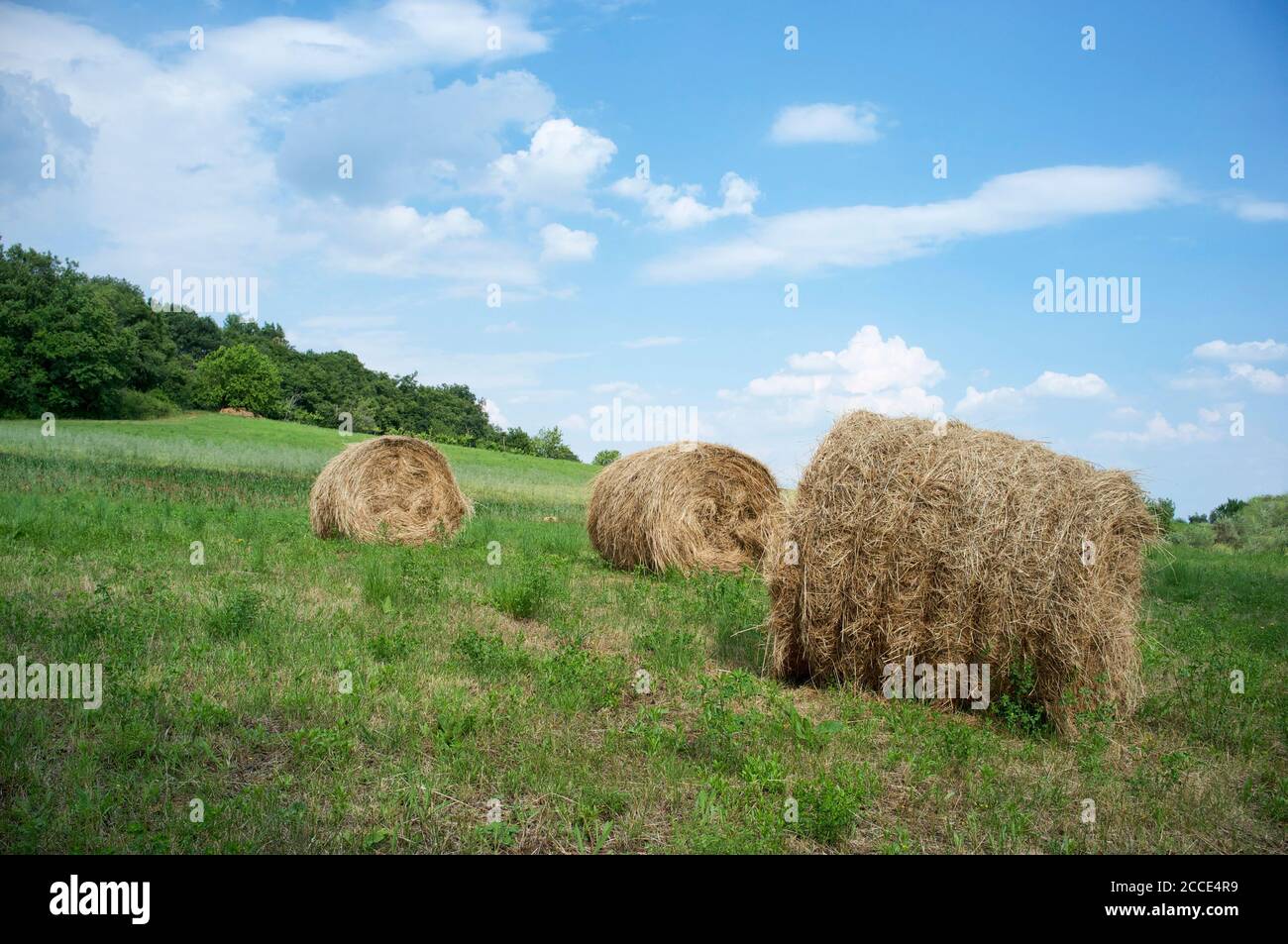 Hay packs hi-res stock photography and images - Alamy