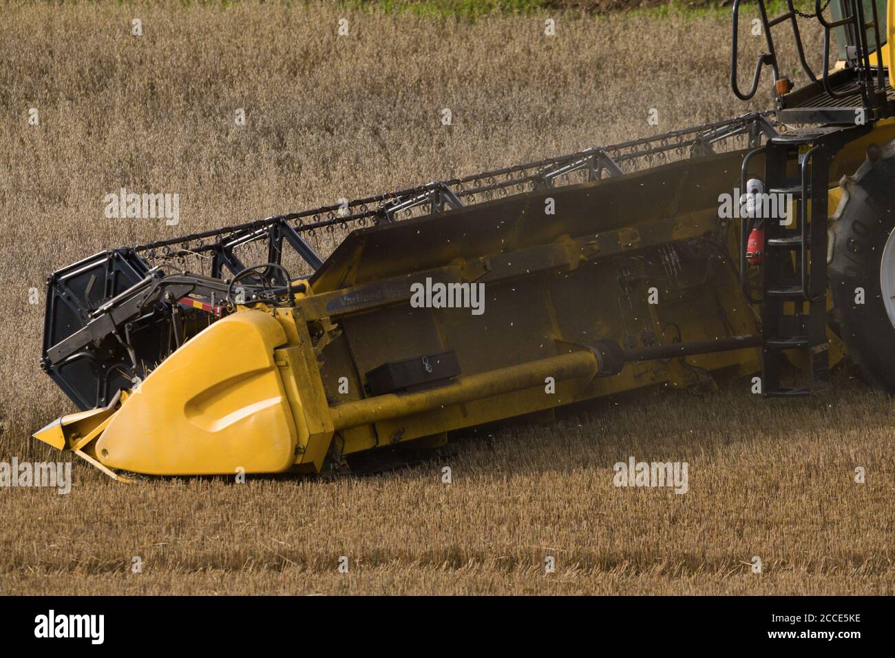 Sele farm hertford hi-res stock photography and images - Alamy
