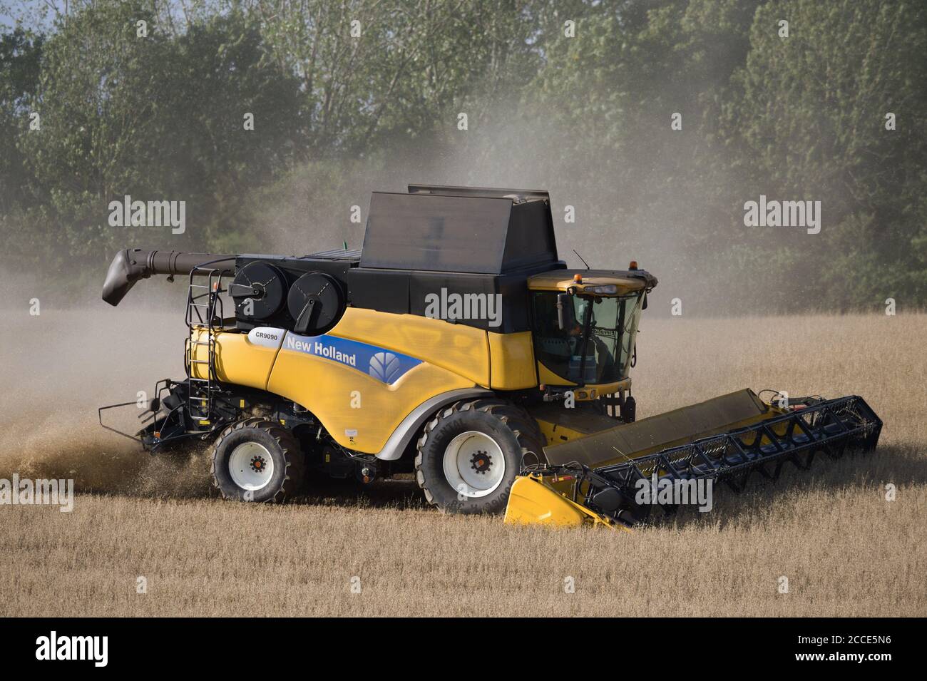 Sele farm hertford hi-res stock photography and images - Alamy