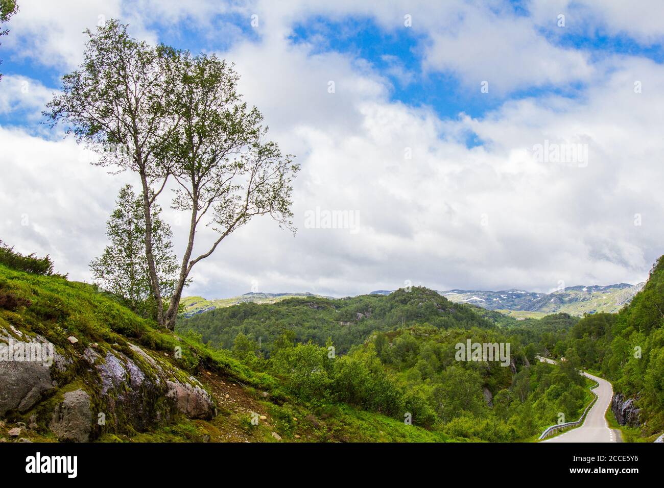 Car narrow road stuck hi-res stock photography and images - Alamy