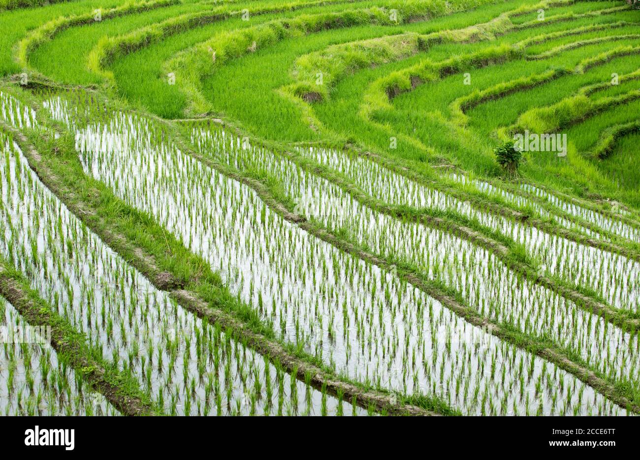Deserted terraces hi-res stock photography and images - Alamy