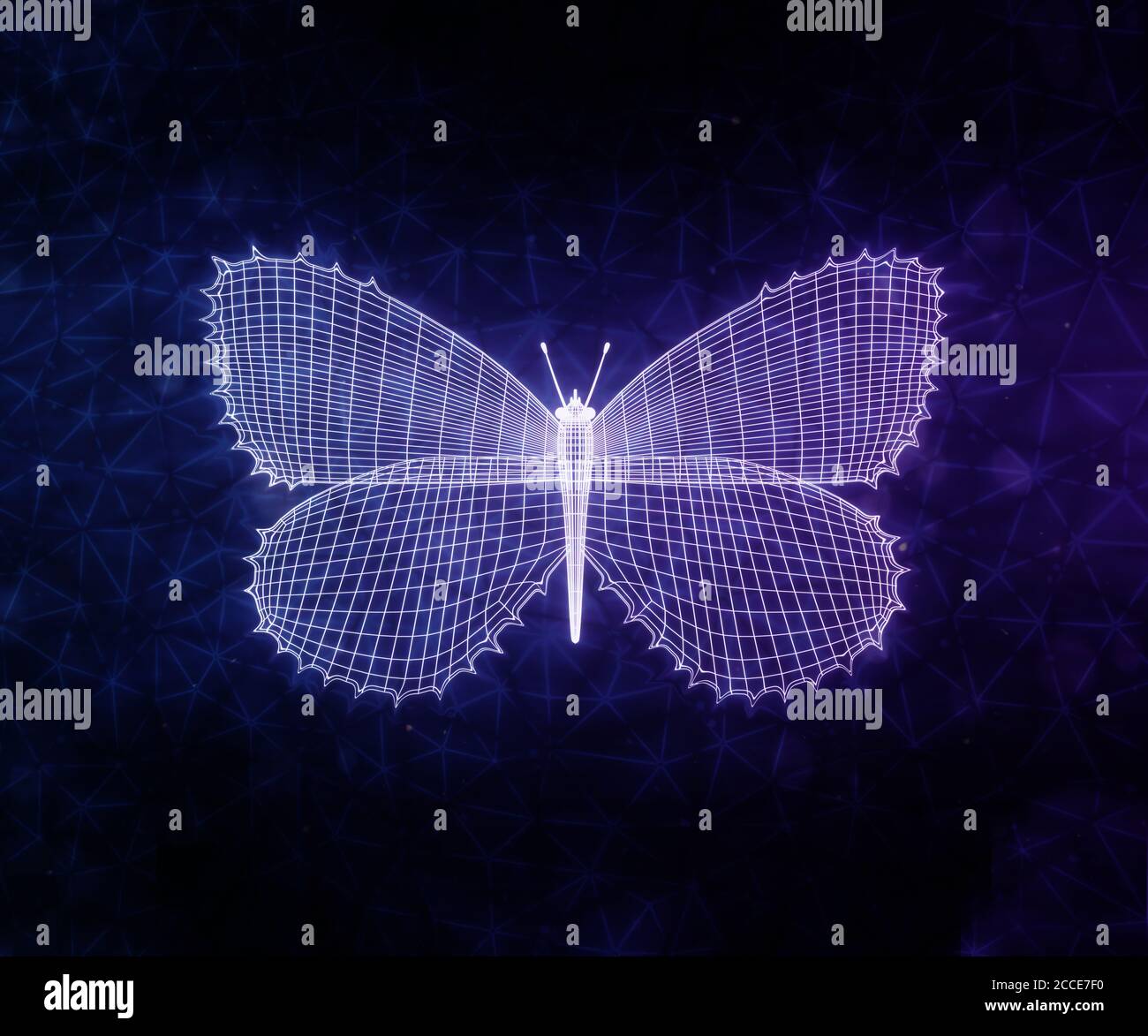 stylized unusual spiny butterfly with open wings on web black ...