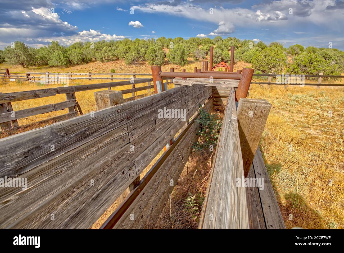 A loading chute leading to a device for restraining cows at a forgotten ...