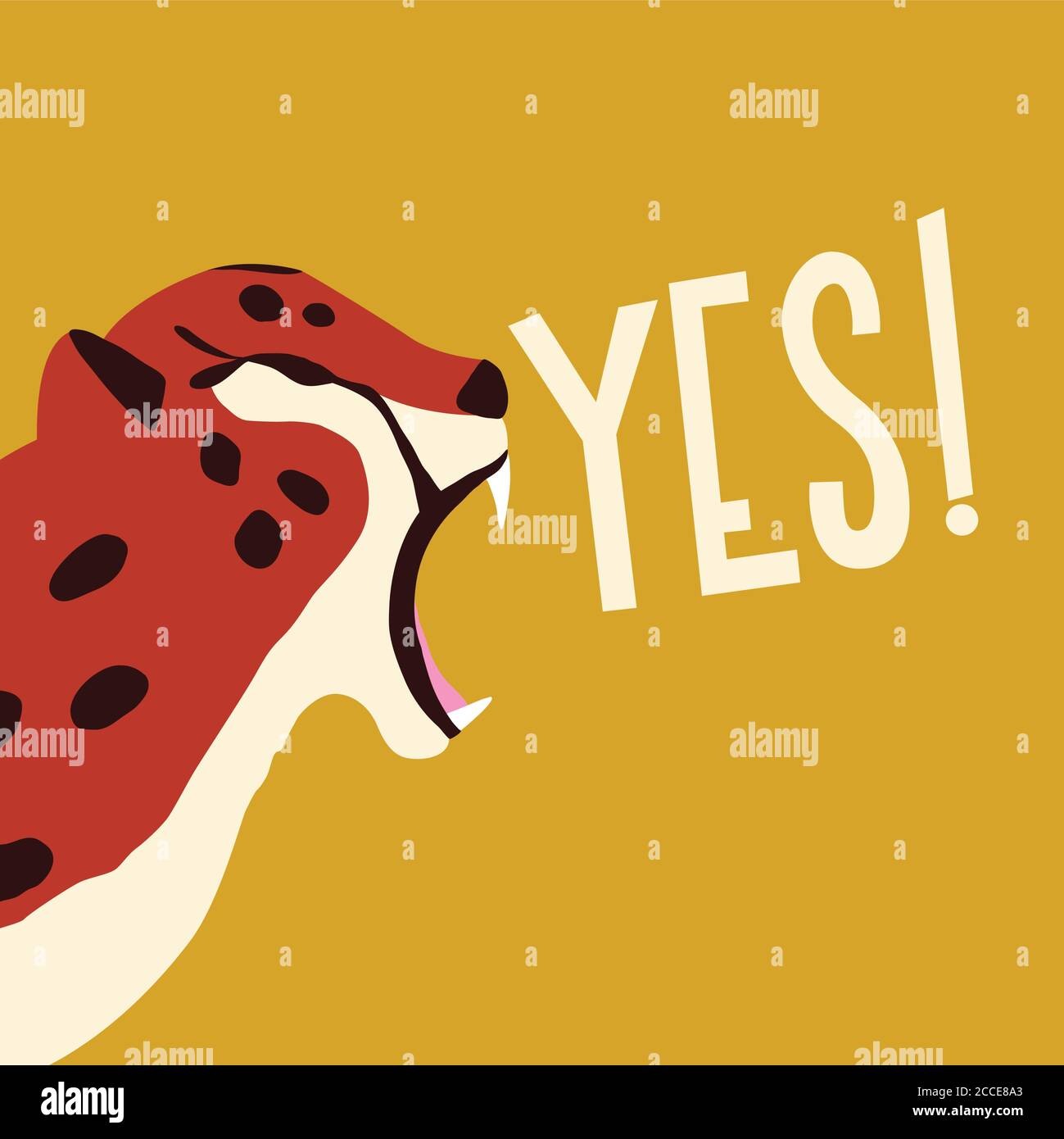 Cute exotic wild big cat cheetah roaring on mustard background with ...