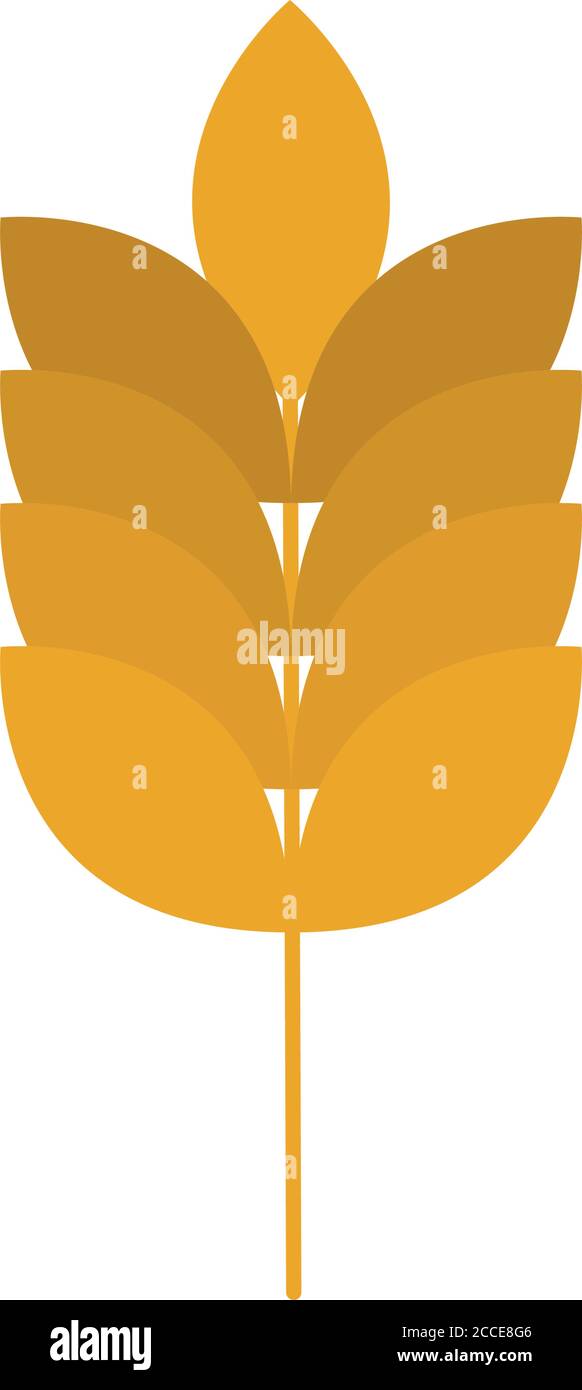 agriculture and farming wheat grain flat icon style vector illustration ...