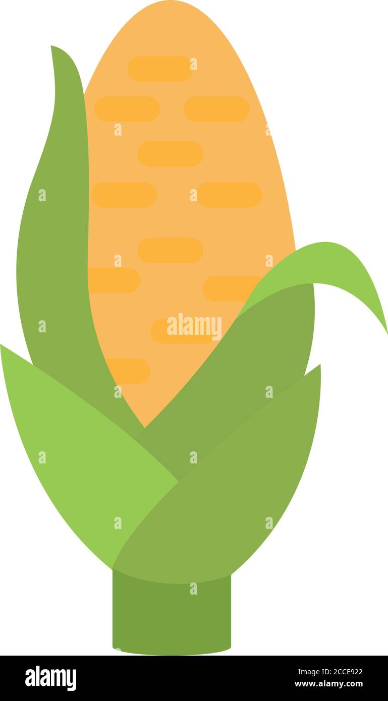 agriculture and farming corn cob food grain flat icon style vector ...