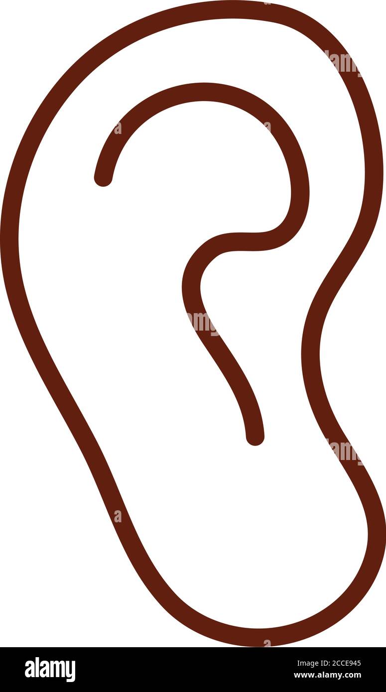 Human Ear Anatomy Stock Vector Images - Alamy