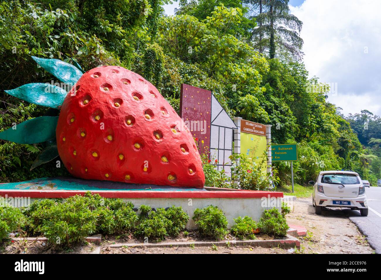A sculpture of a huge red strawberry on the side of the road ...