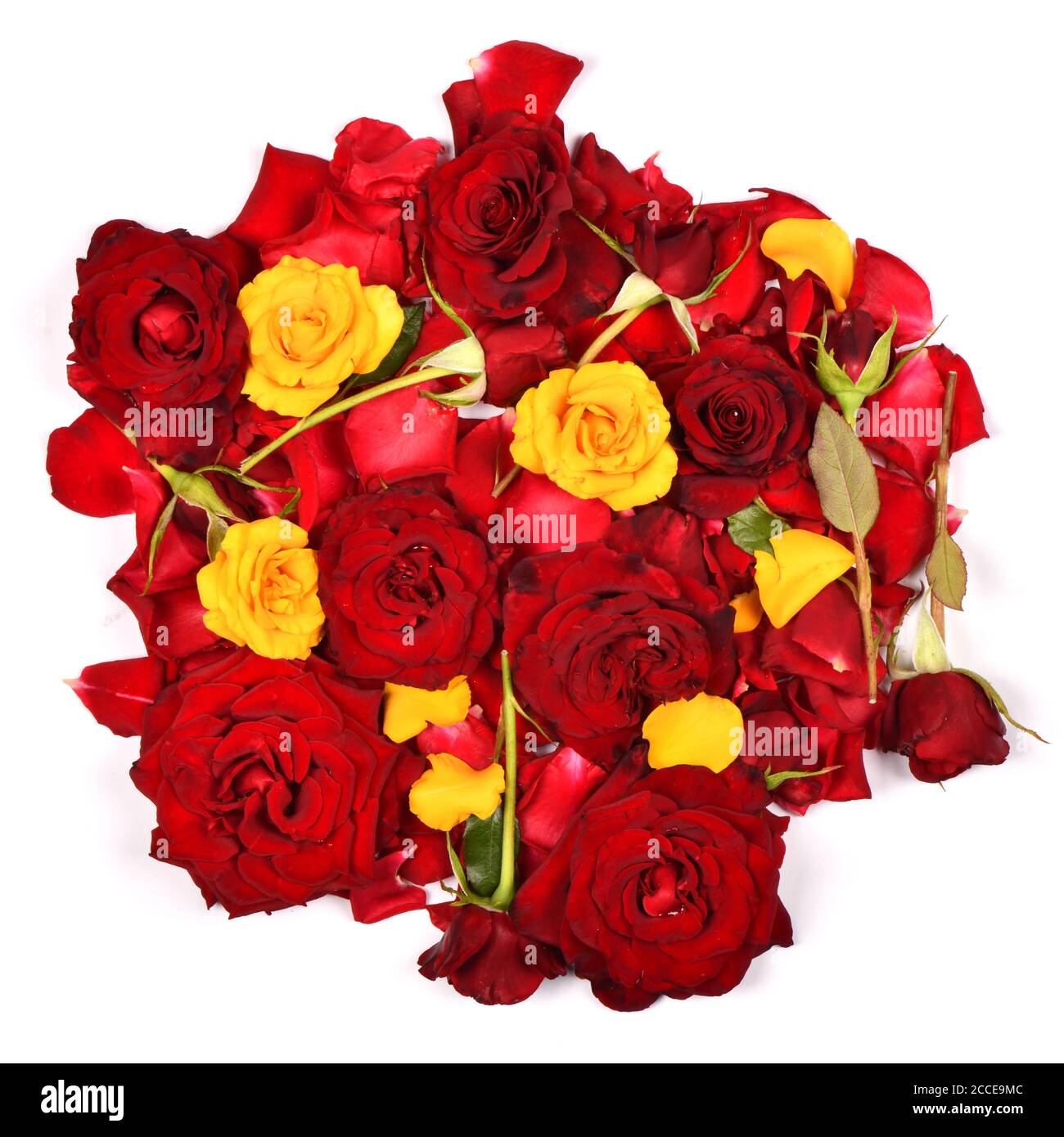 Bouquet beautiful red and yellow rose flower isolated on white ...