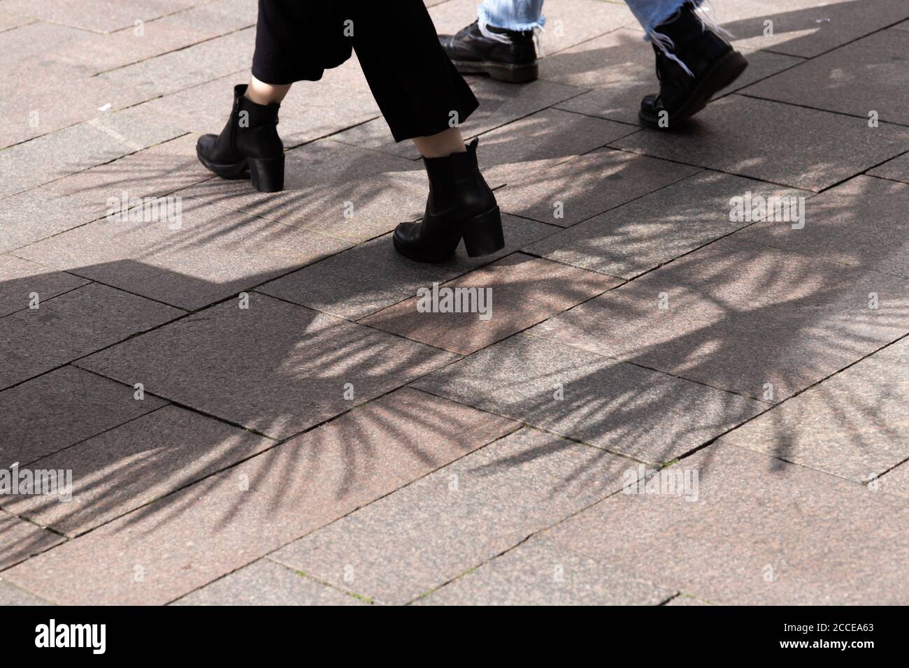 Female light outline shadow silhouette silhouette hi-res stock ...