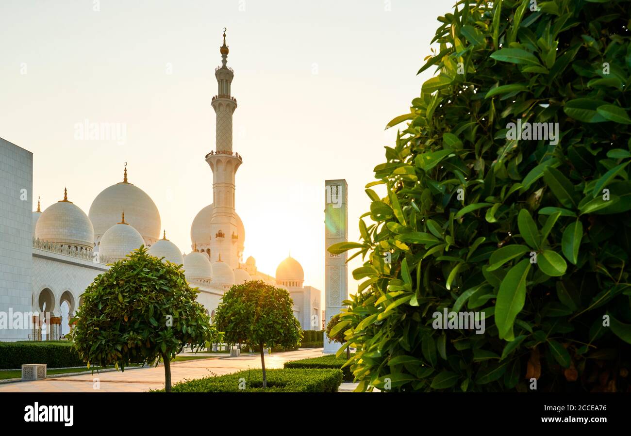 Abu Dhabi, UAE, Emirates, United Arab Emirates, Africa, Middle East ...