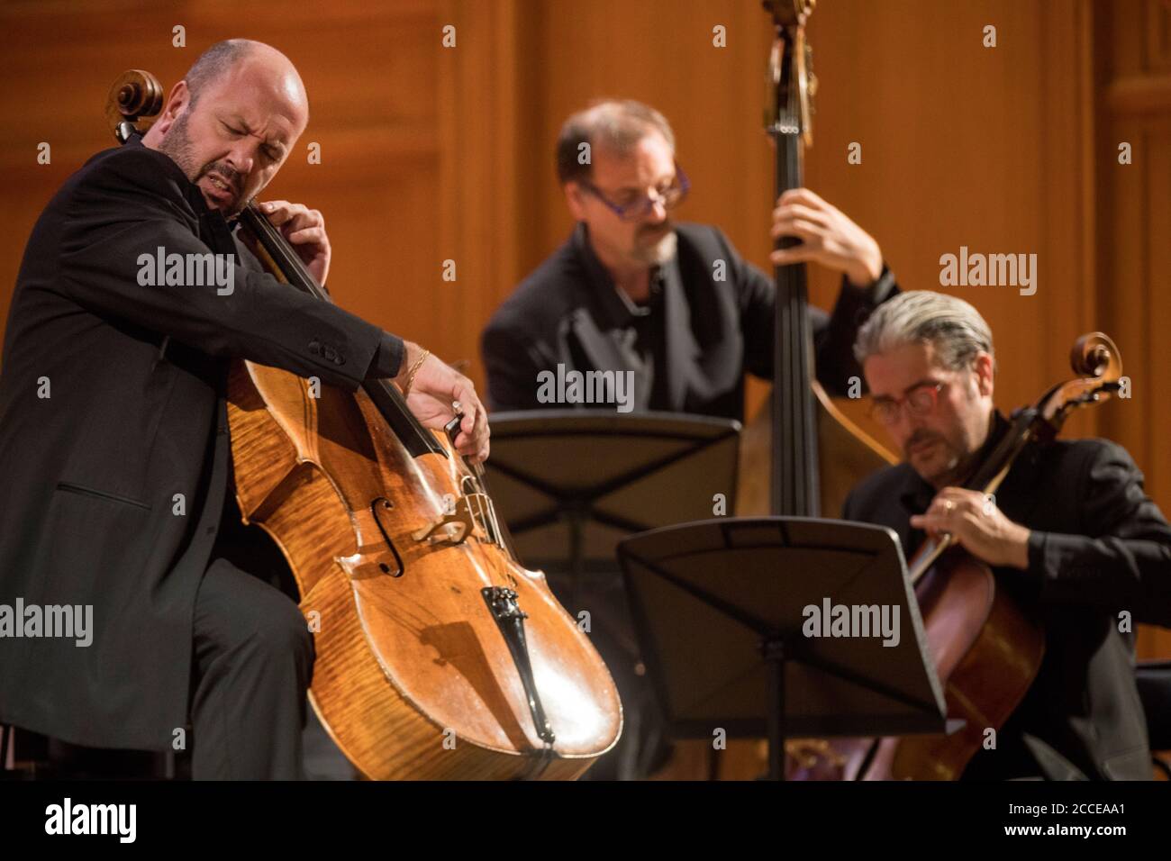 Enrico dindo hi-res stock photography and images - Alamy