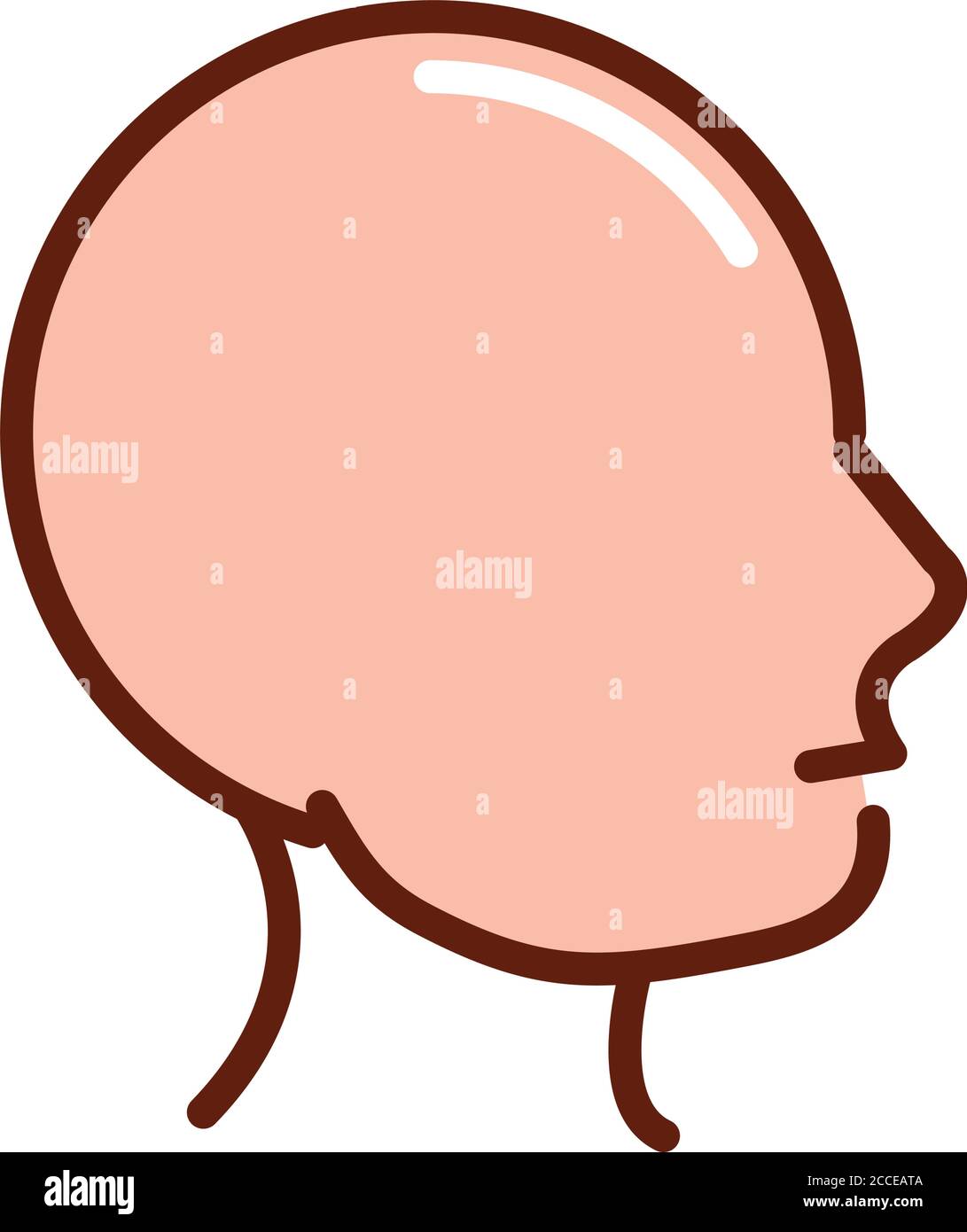 Human body internal organs head Stock Vector Images - Alamy