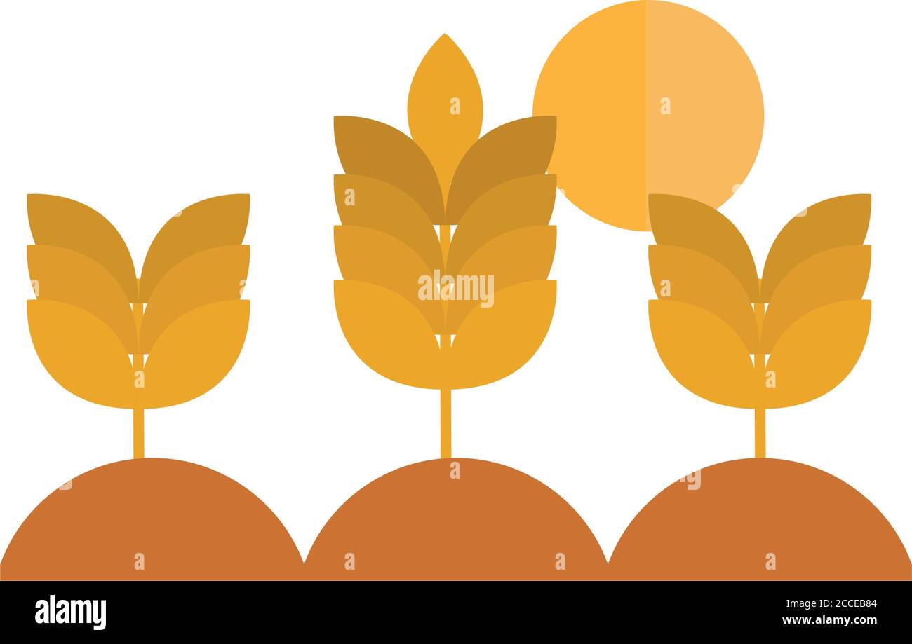 agriculture and farming field wheat sun cartoon flat icon style vector ...