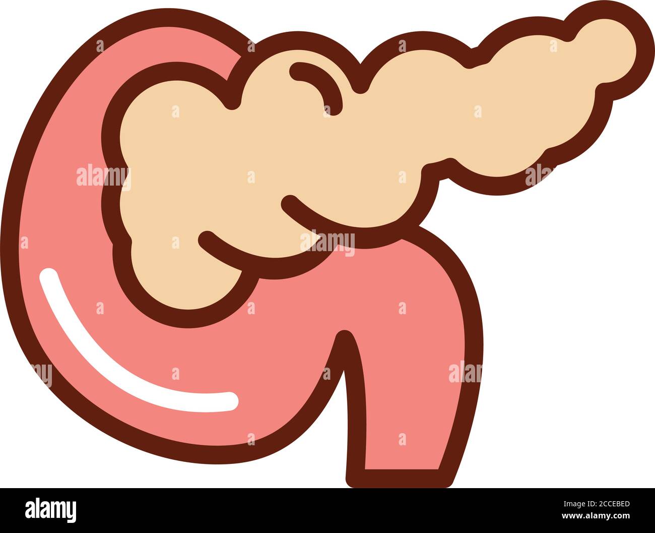 human body pancreas anatomy organ health line and fill icon vector ...