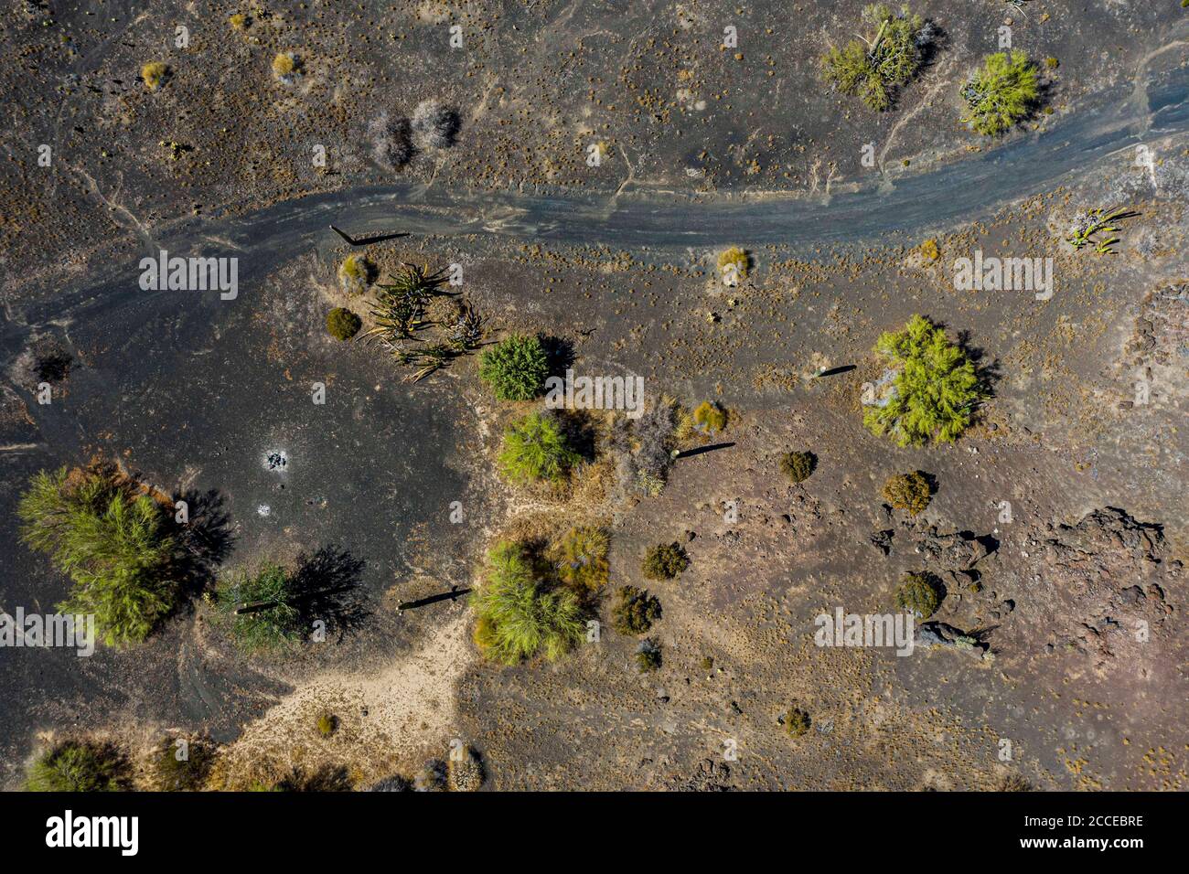 Aerial view of the sparse vegetation of the desert and sierra of the El ...