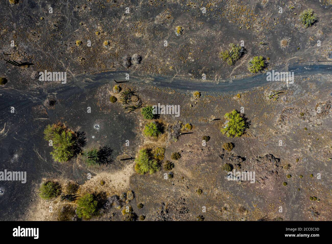 Aerial view of the sparse vegetation of the desert and sierra of the El ...