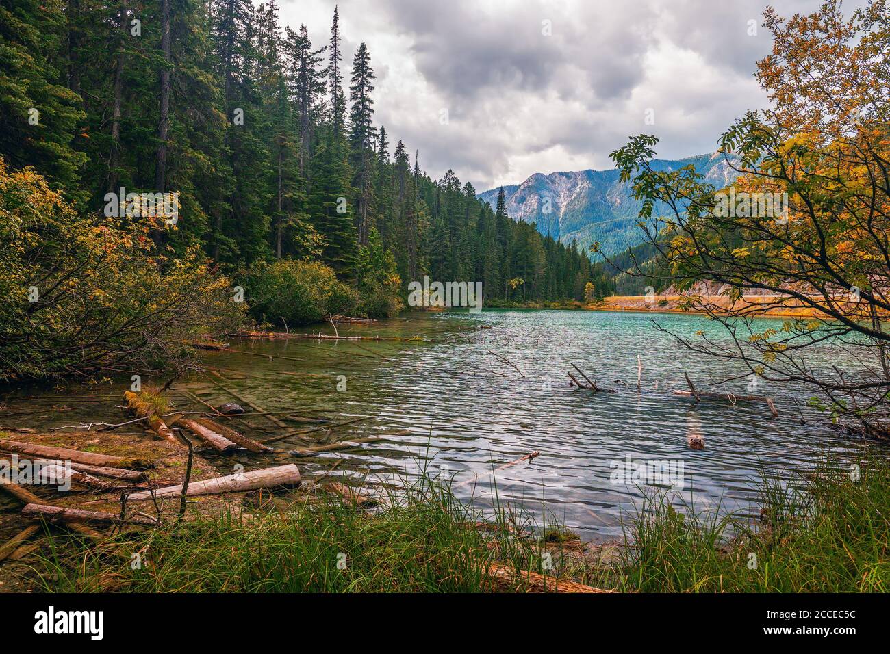 Kootenay lake park hi-res stock photography and images - Alamy