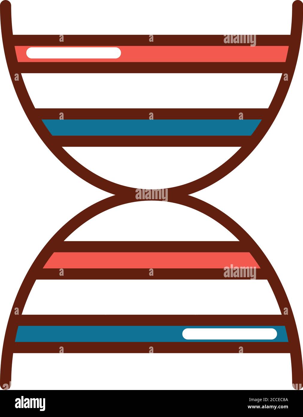 human body dna molecule anatomy organ health line and fill icon vector ...