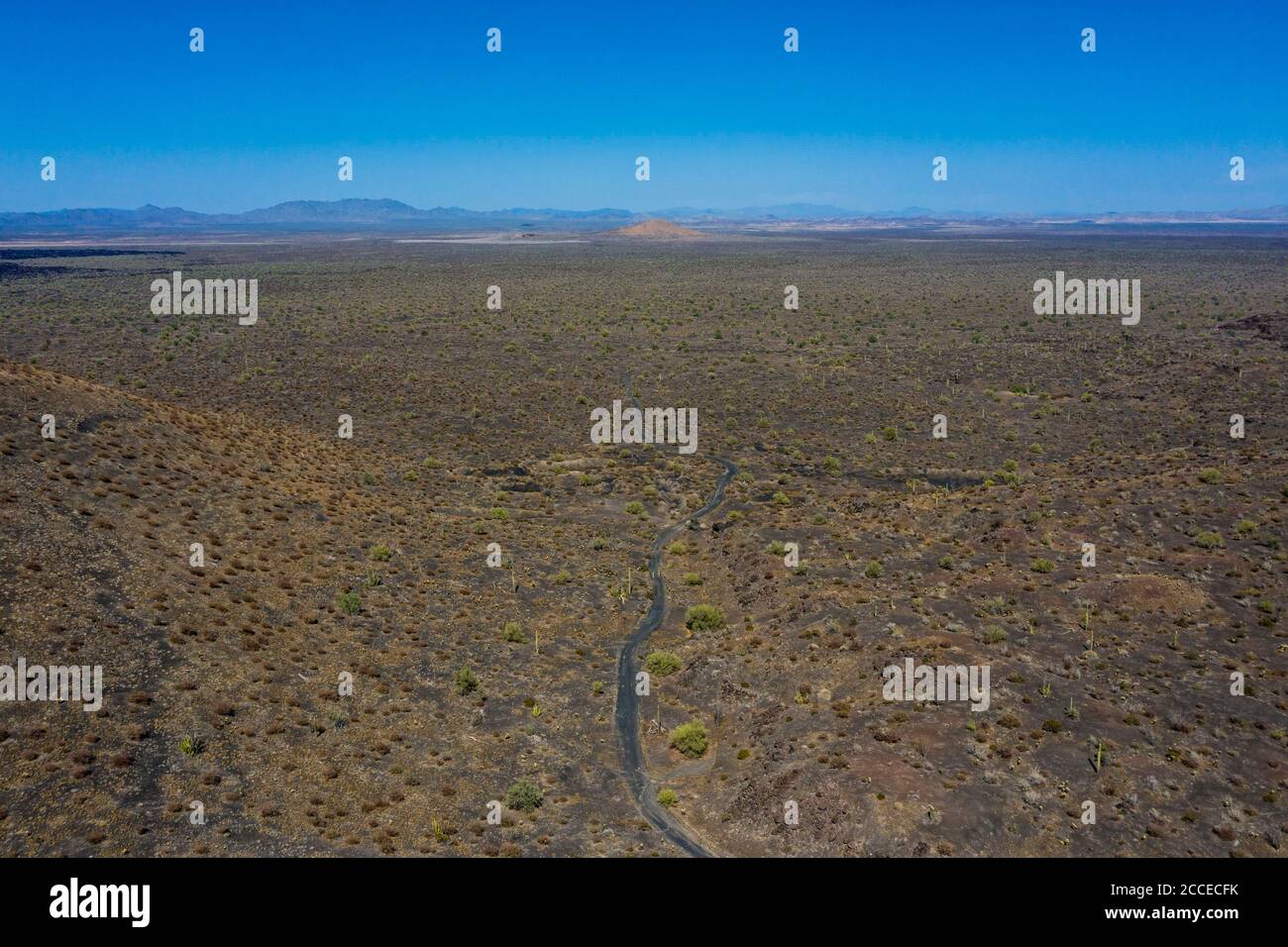 Aerial view of the sparse vegetation of the desert and sierra of the El ...