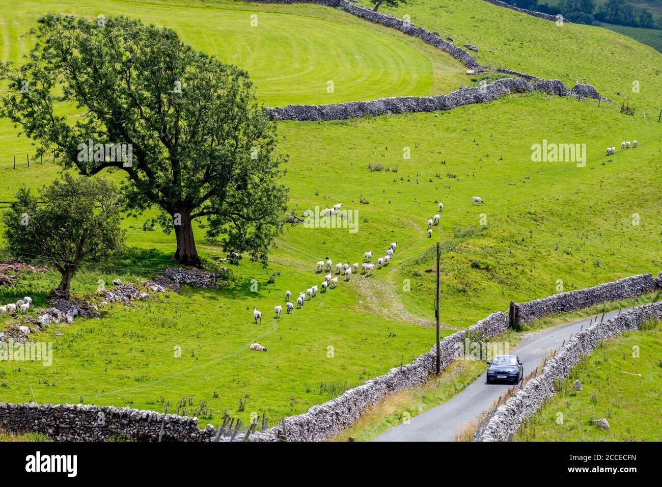 Classic Yorkshire Dales National Park landscape, Yorkshire, England ...