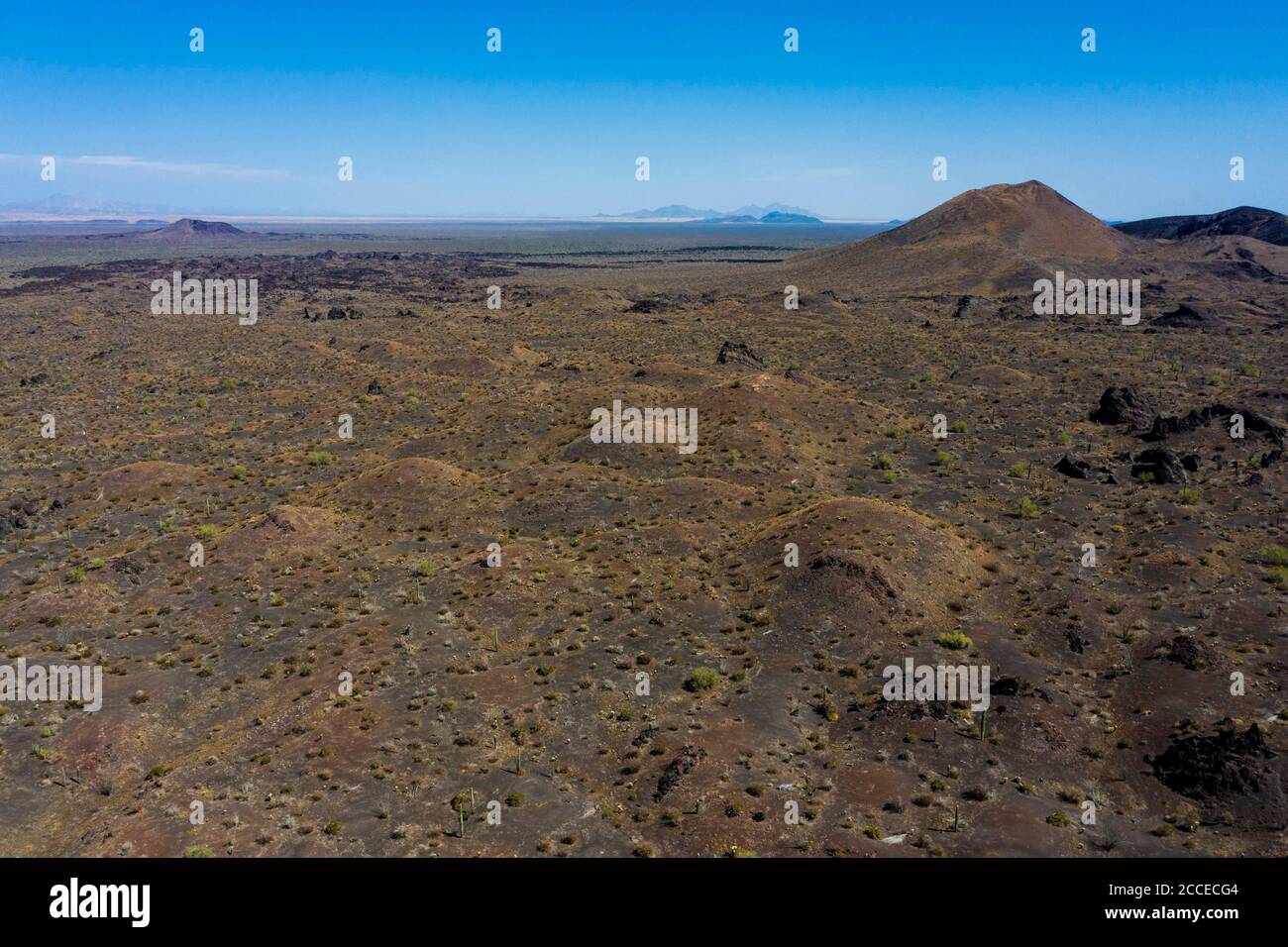 Aerial view of the sparse vegetation of the desert and sierra of the El ...