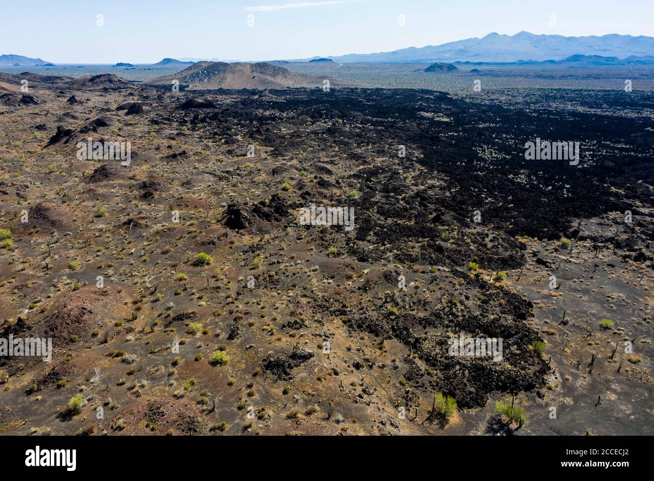 Aerial view of the sparse vegetation of the desert and sierra of the El ...