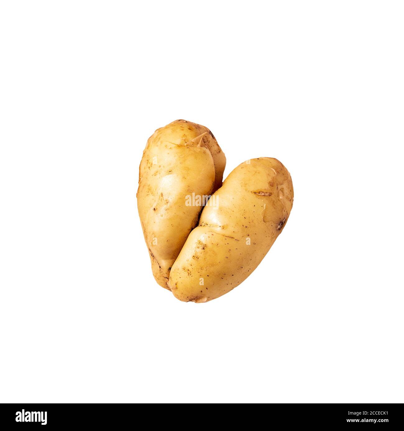 Flat lay ugly curved bent potato isolated on white background Stock ...