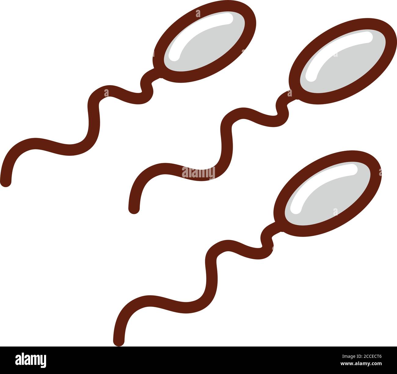 human body sperm anatomy organ health line and fill icon vector ...