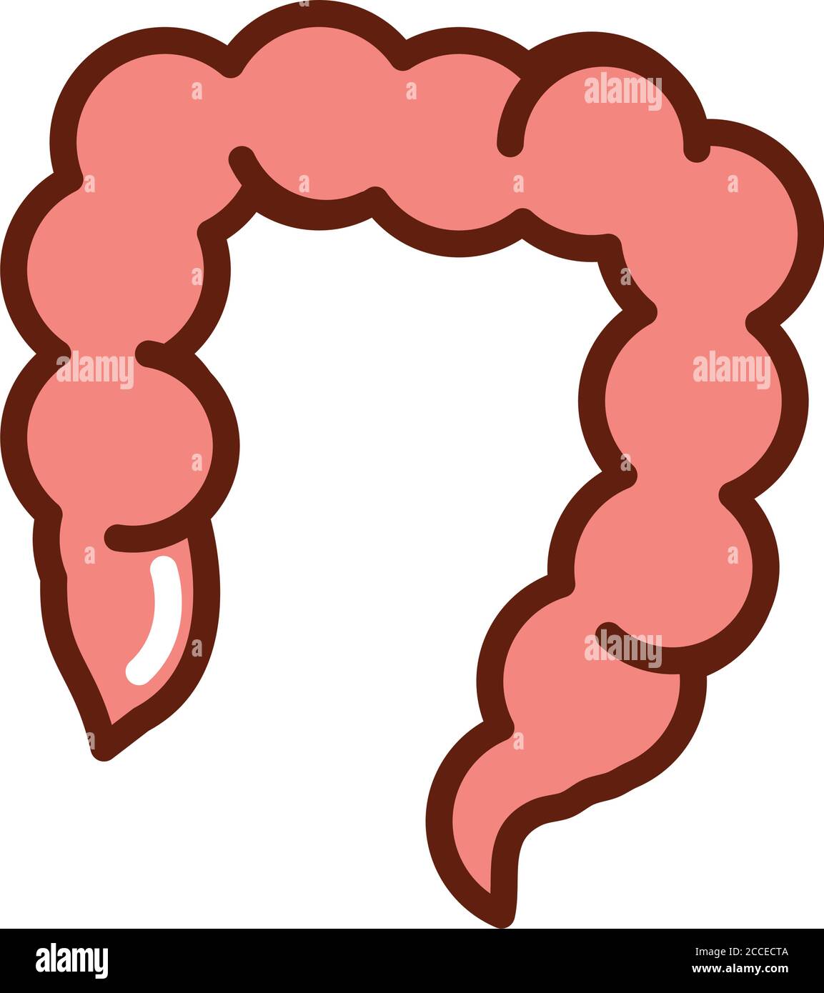 human body large intestine anatomy organ health line and fill icon ...