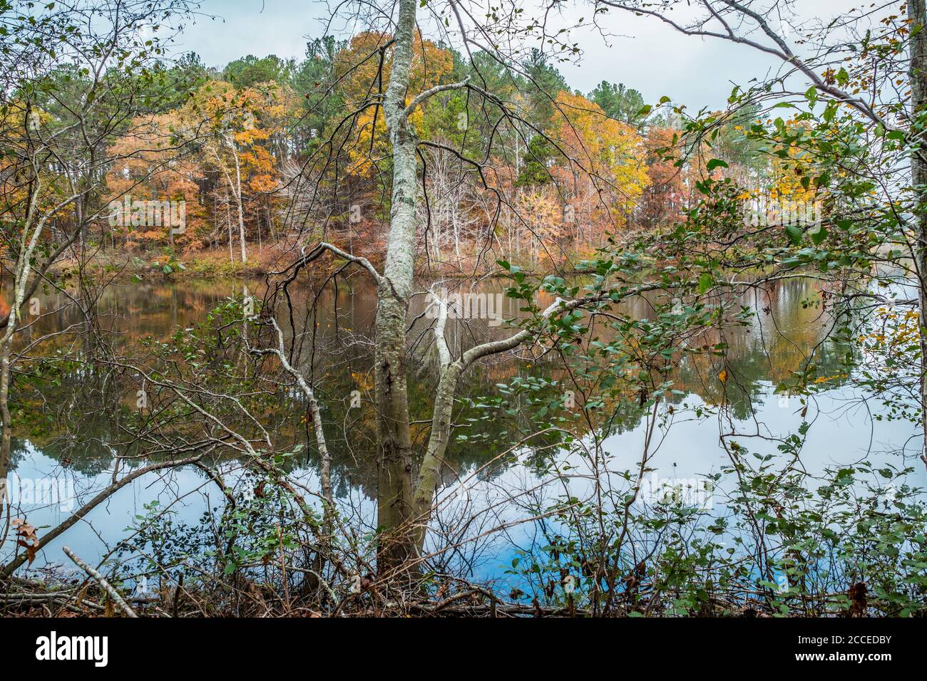 Looking through the trees and bushes that surrounds the colorful trees ...