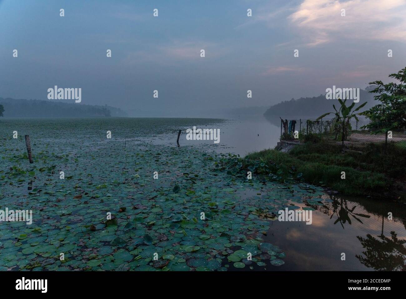 Tropical kerala scenes, Moist views of southern india Stock Photo - Alamy