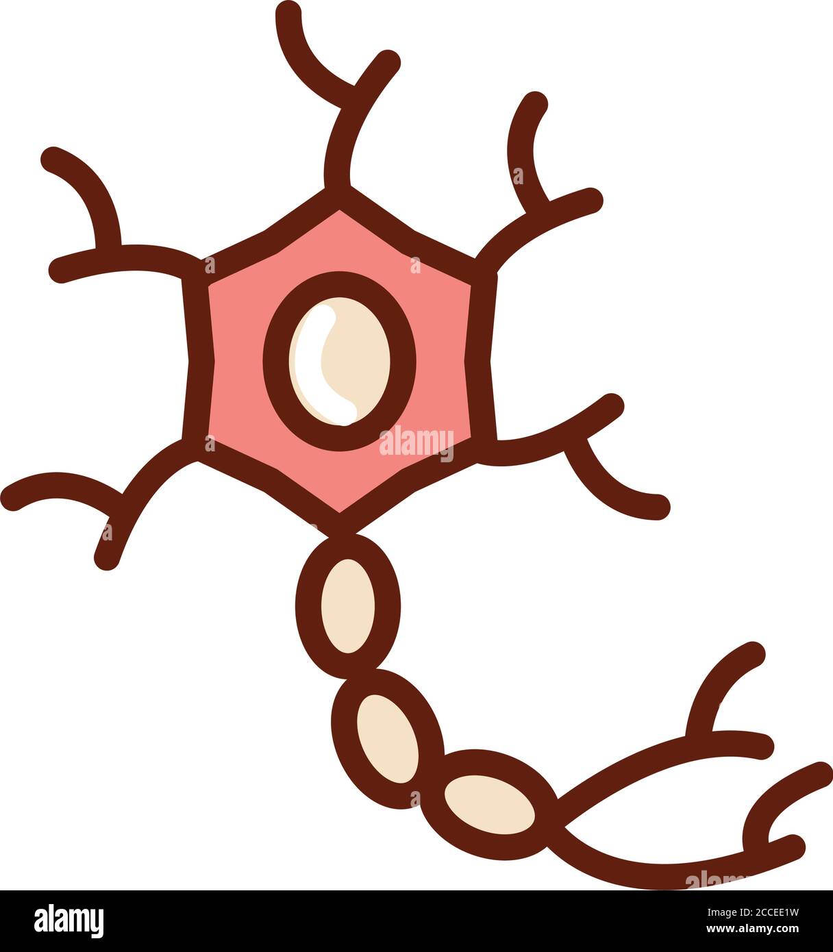 human body cell molecule anatomy organ health line and fill icon vector ...