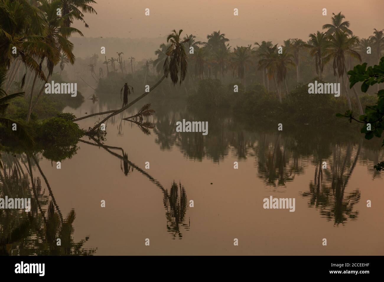 Tropical kerala scenes, Moist views of southern india Stock Photo - Alamy