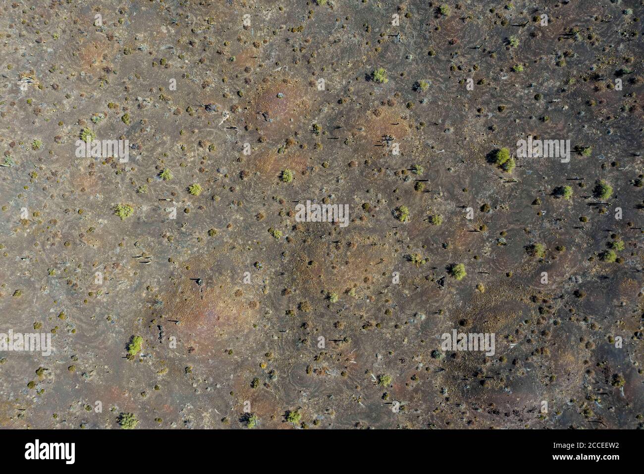 Aerial view of the sparse vegetation of the desert and sierra of the El ...