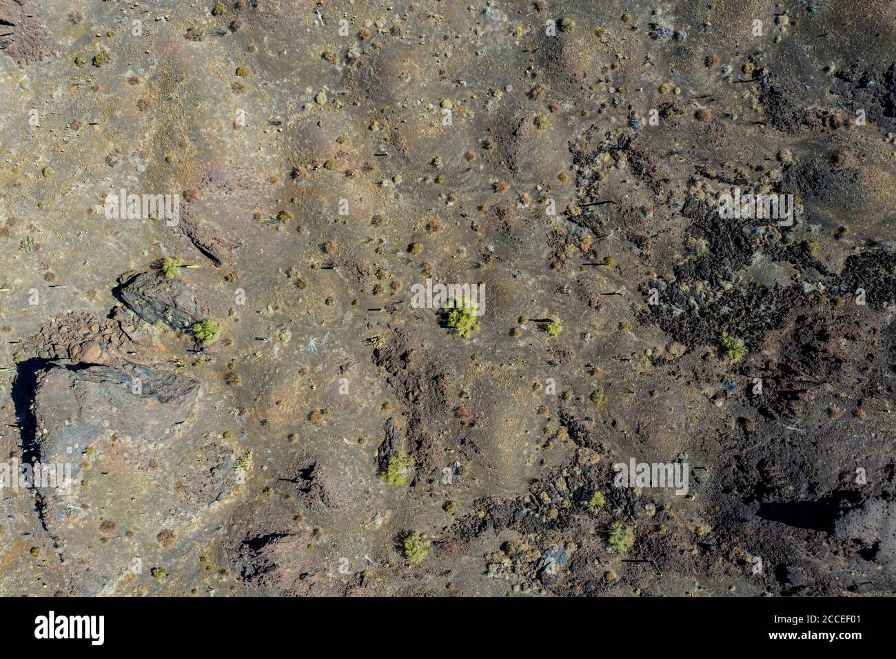 Aerial view of the sparse vegetation of the desert and sierra of the El ...