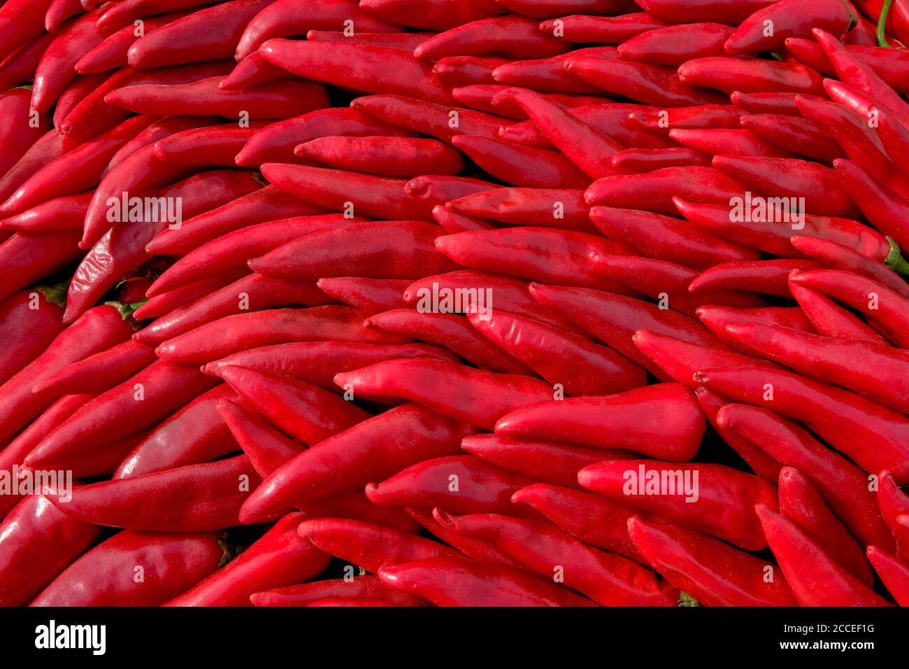 Fresh hot red pepper. Chili pepper Stock Photo - Alamy